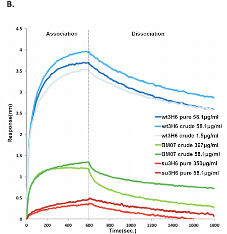 Bio-Layer Interferometry (BLI) Service - Creative BioMart